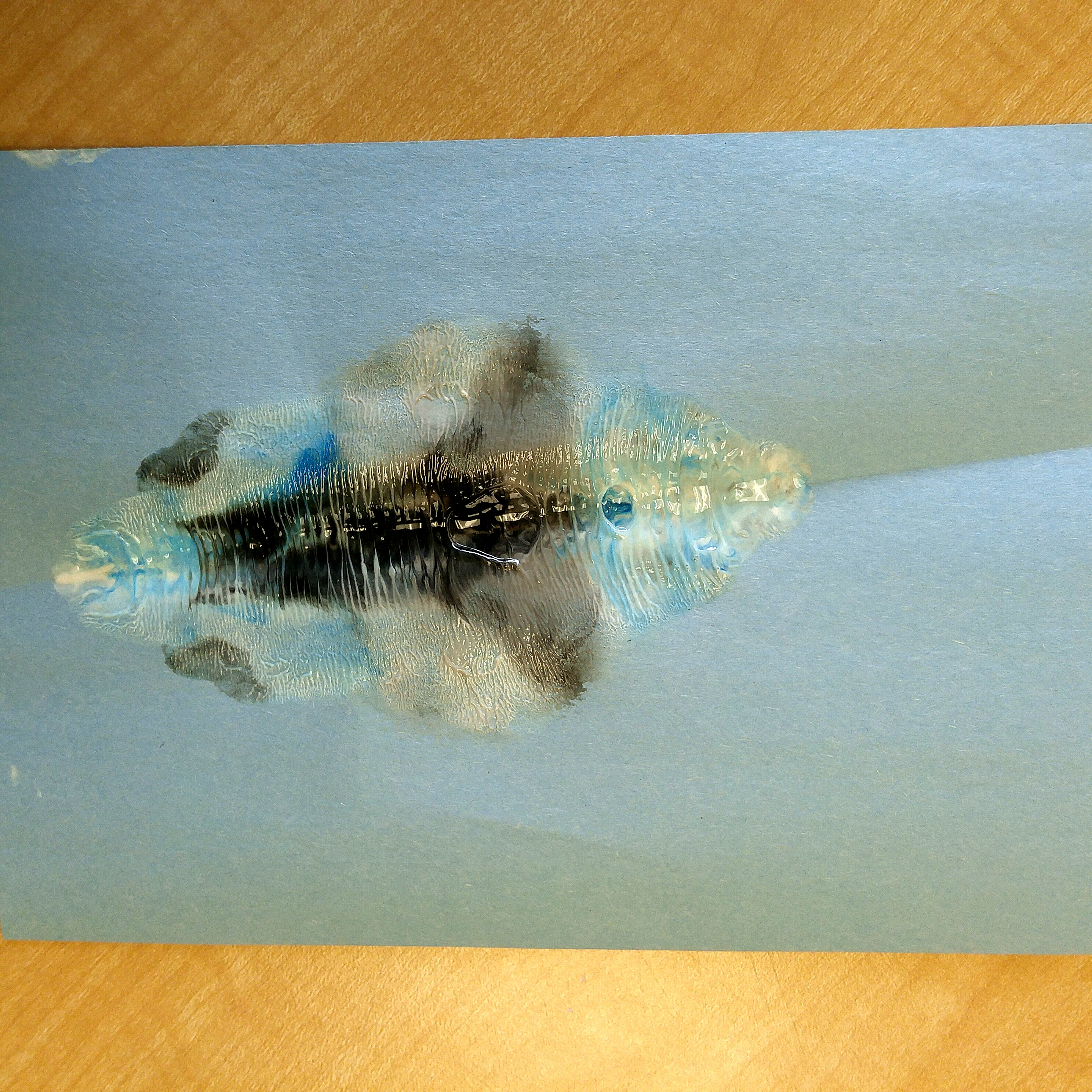 Cloud Activities in Kindergarten - Creative Kindergarten